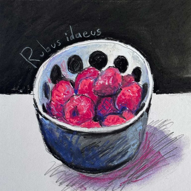 Paul Joseph-Crank – Raspberries in a Bowl – Cambridge Illustrators ...